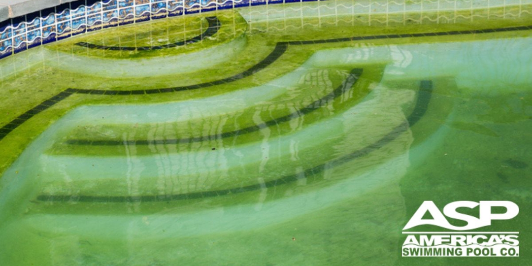 Pool Algae and How to Kill Any Type and/or Color
