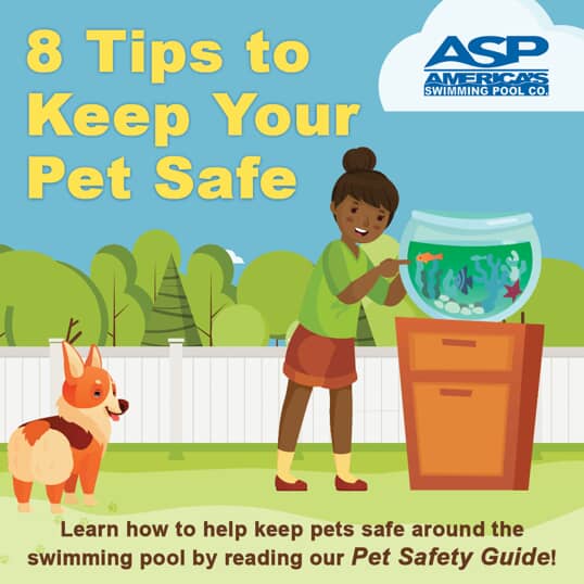 Pet Safety Guide: Tips for In & Around the Home