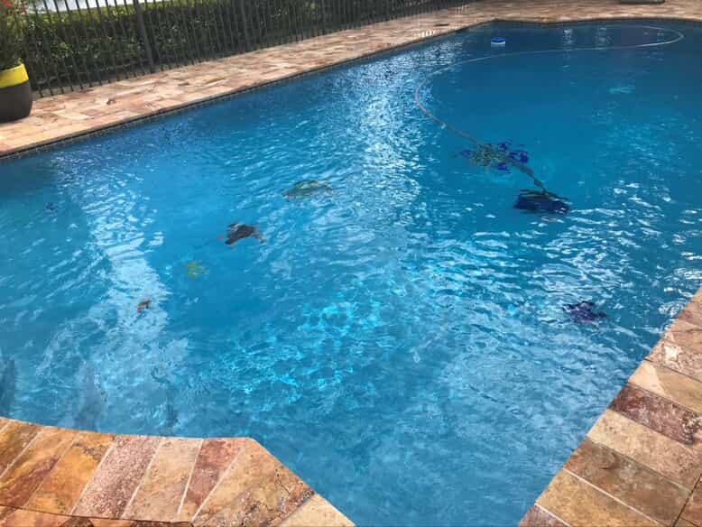 Before & After Photos | ASP - America's Swimming Pool Company of Jupiter