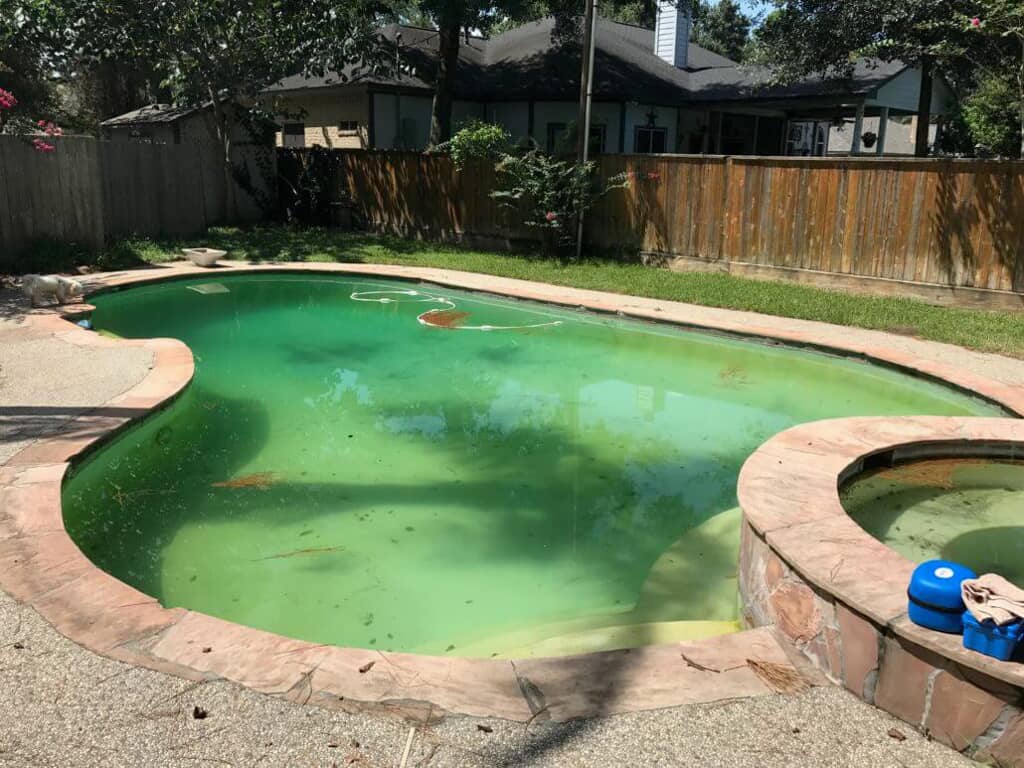 Green-To-Clean Pool Recovery | ASP - America's Swimming Pool Company of ...