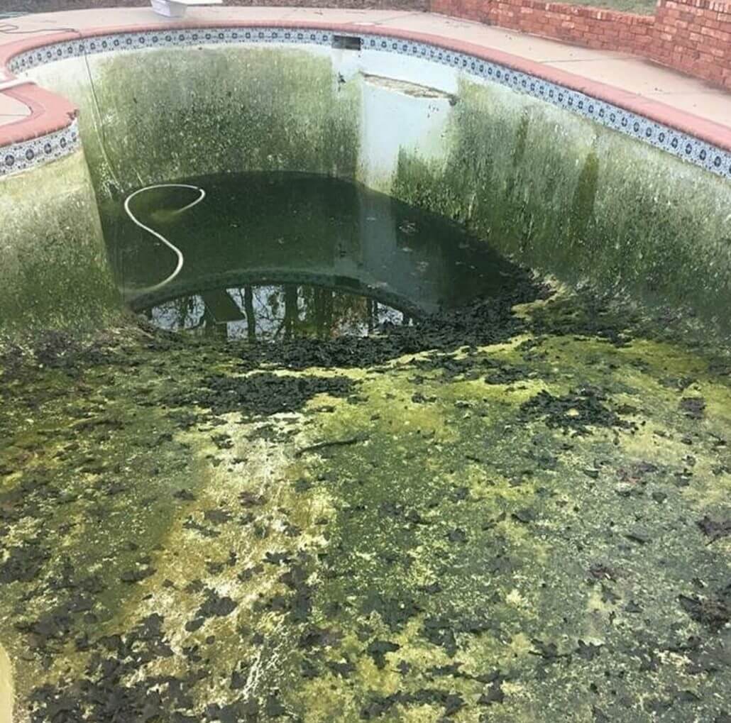 Green-To-Clean Pool Recovery | ASP - America's Swimming Pool Company of ...