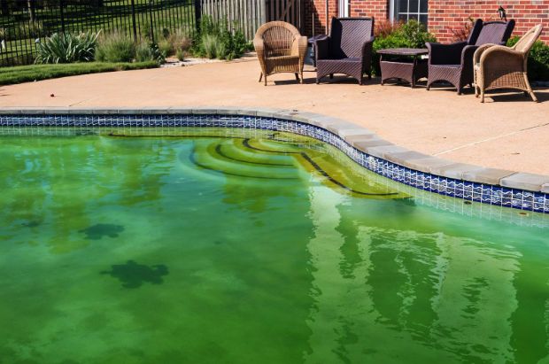 Why is My Swimming Pool Green: Preventing Pool Algae in Dallas