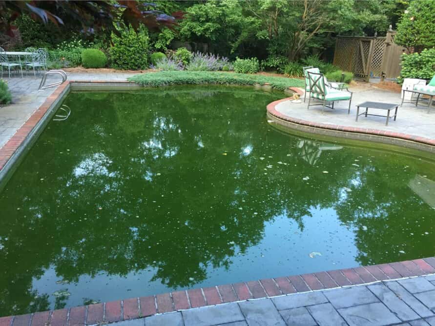 Green-to-Clean Pool Recovery | ASP - America's Swimming Pool Company of ...