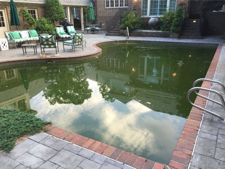 Green-to-Clean Pool Recovery | Coastal Virginia