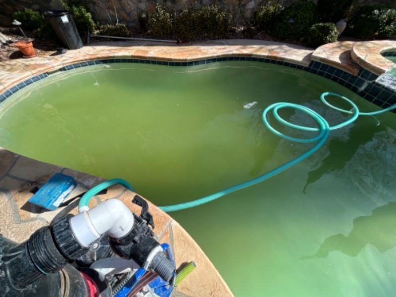 Green-To-Clean Pool Recovery | ASP - America's Swimming Pool Company of ...