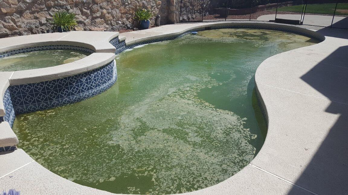 Green-To-Clean Pool Recovery